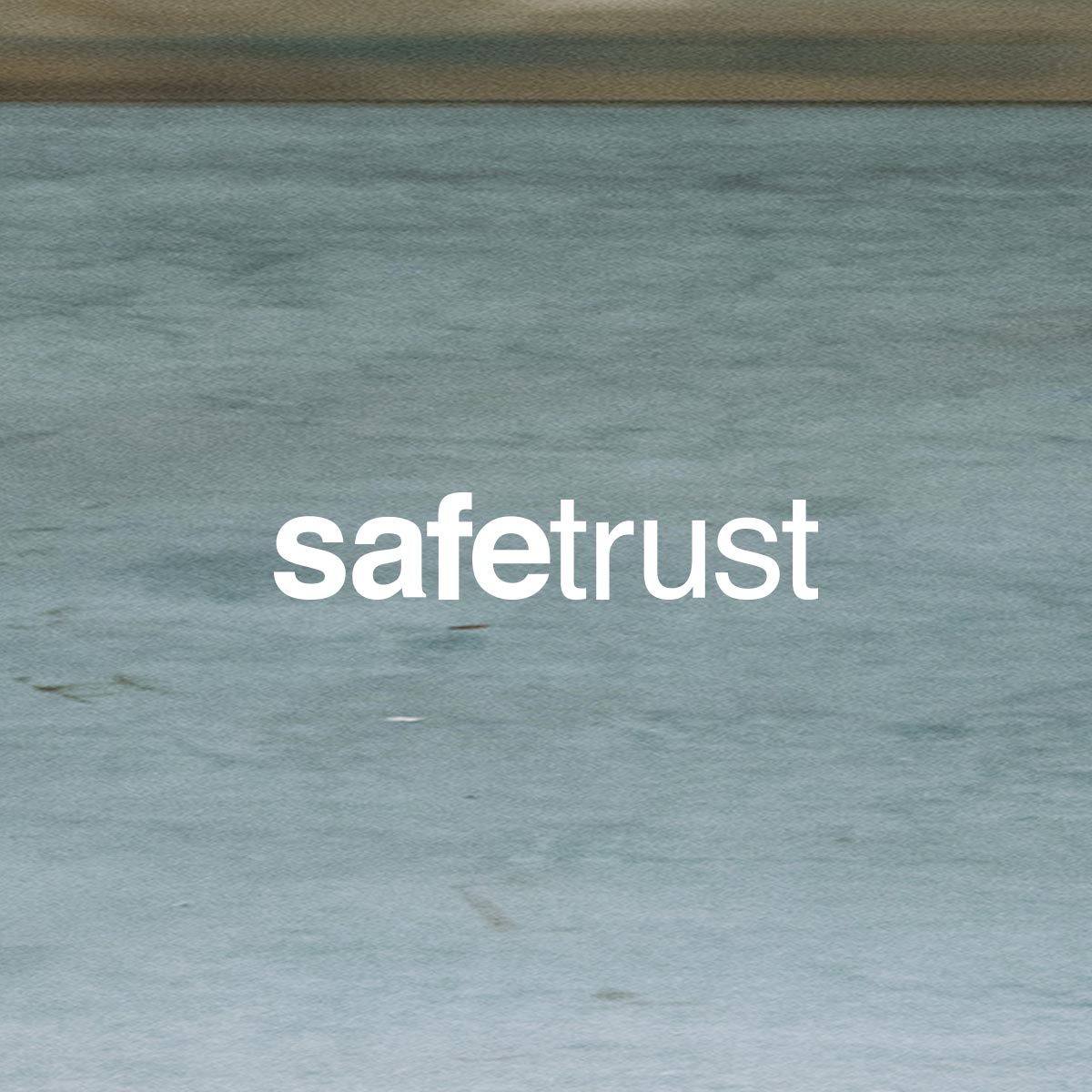 Safetrust Inc - Touchless Identity Solutions